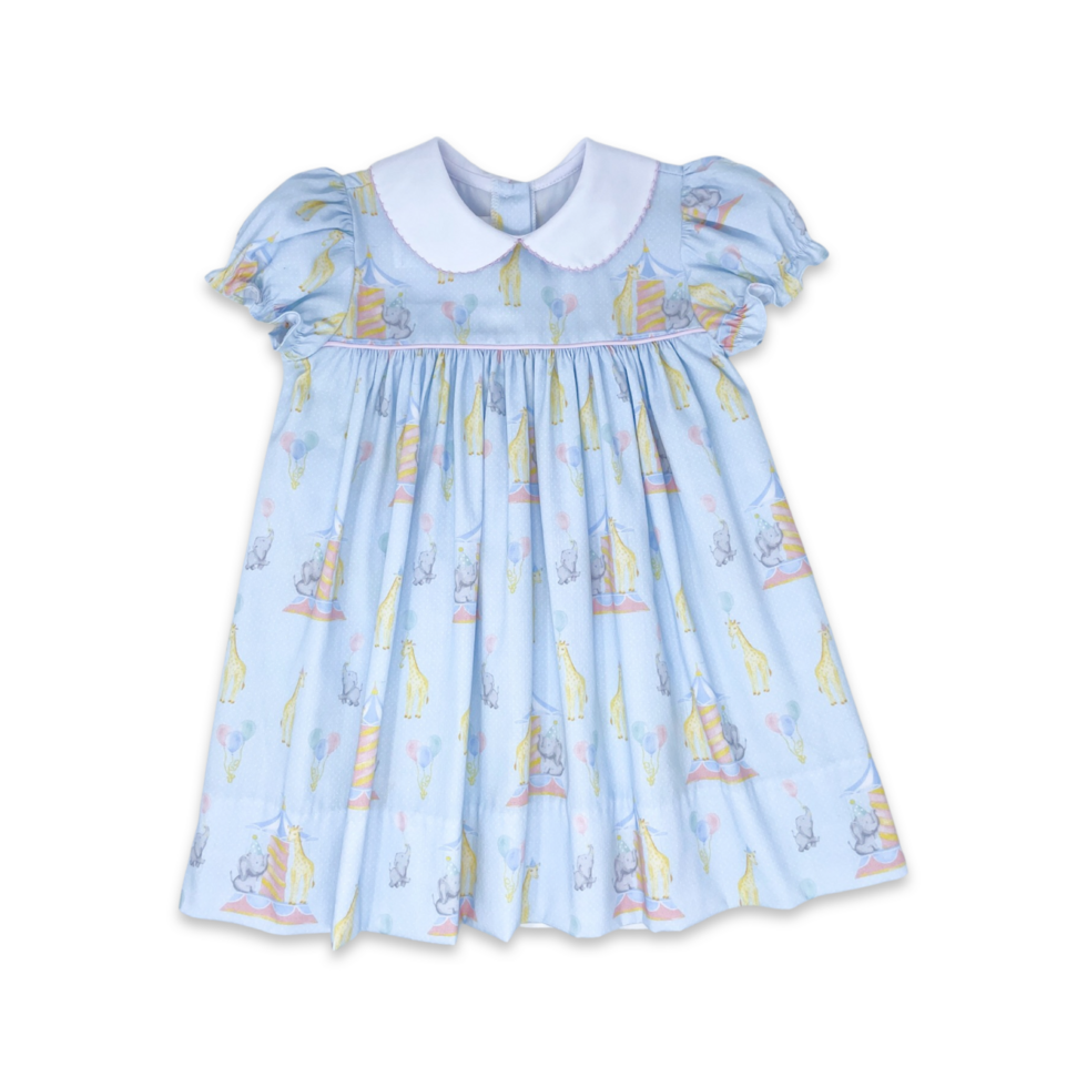 Memory Making Dress- Carousel – Pink Pineapple